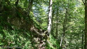 Mail de Bulard ou Malh de Bolard (2750m) par l’Arête Nord – Les Topos ...